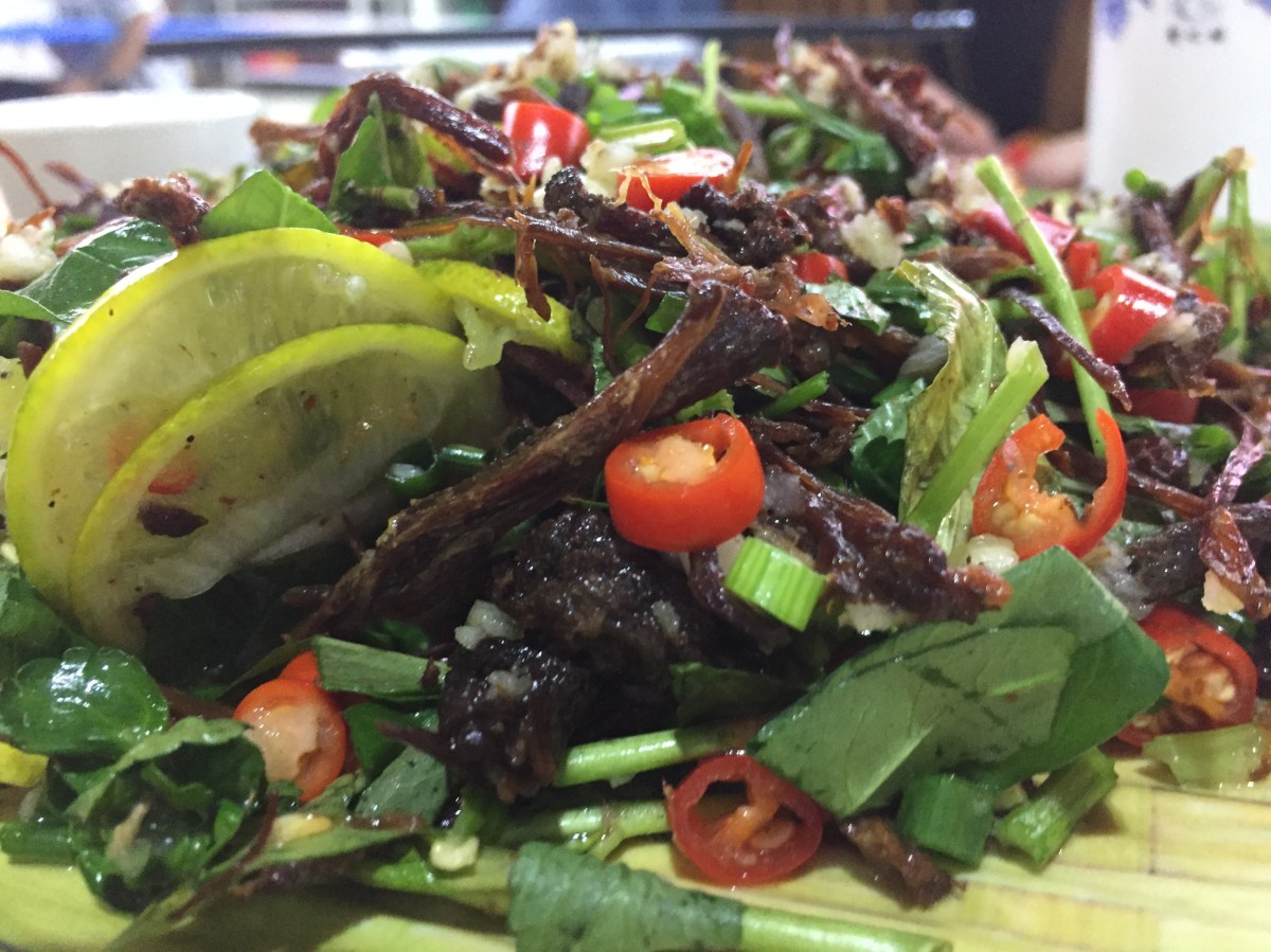 Ganba (干巴) Yunnan dried beef – Thomas David DuBois