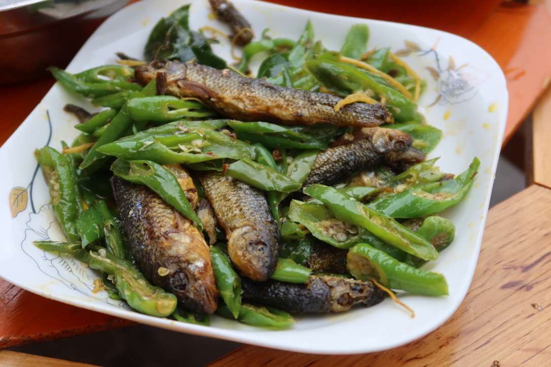 Guizhou: Rice paddy fish – Thomas David DuBois