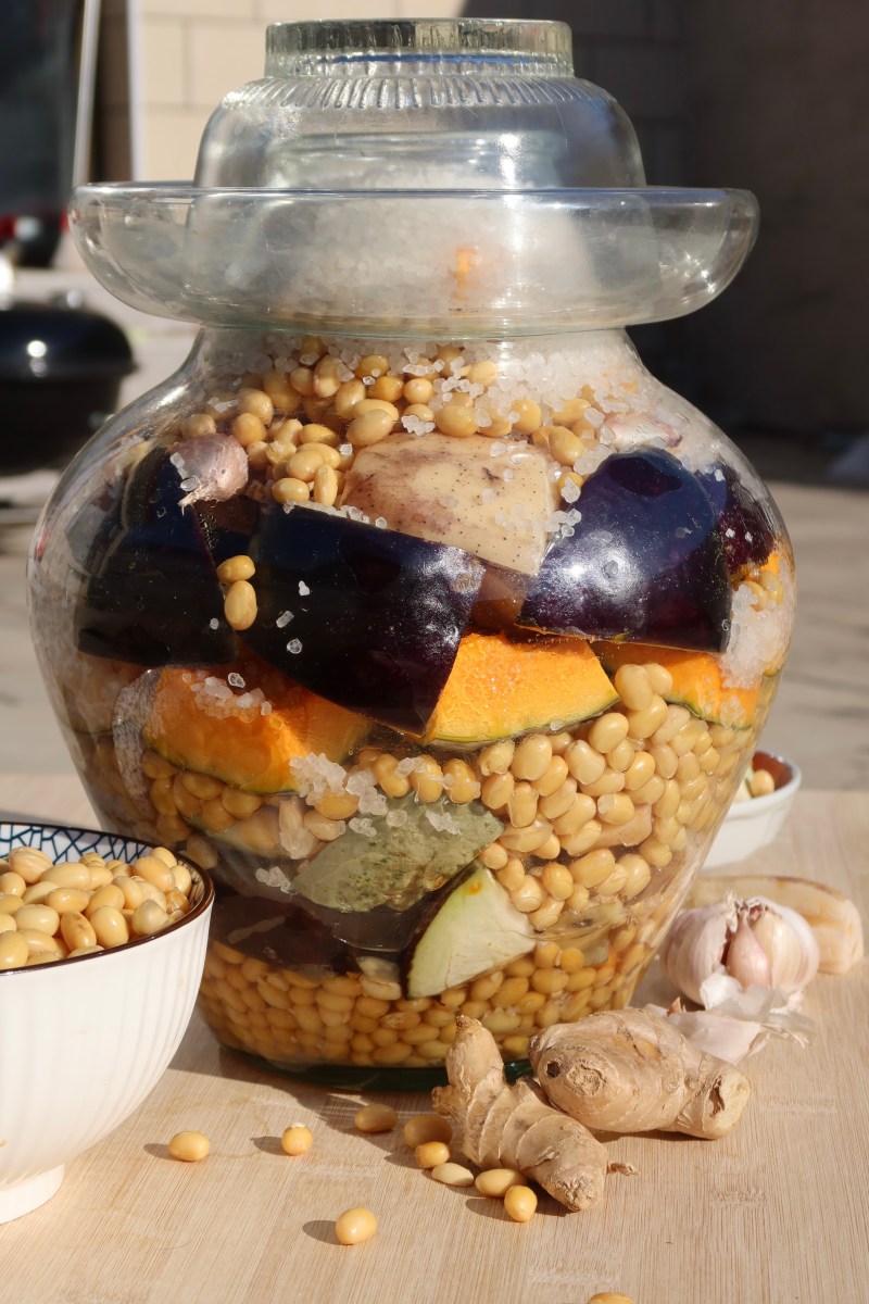 Jinshan temple fermented beans 金山寺豆豉 (11th century) – Thomas David DuBois